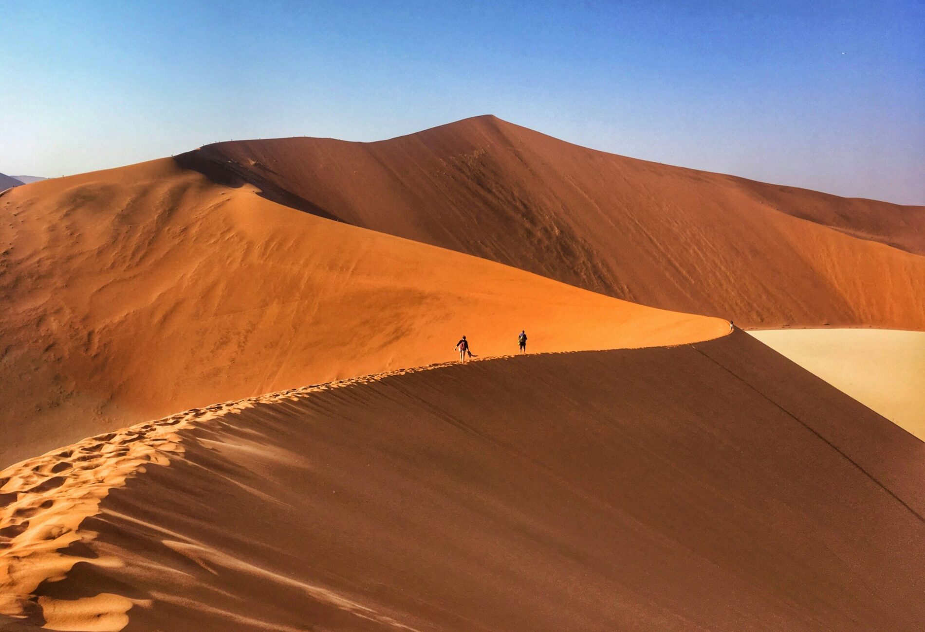 7 Day Namib Desert to Cape Town Camping Tour | Detour Africa