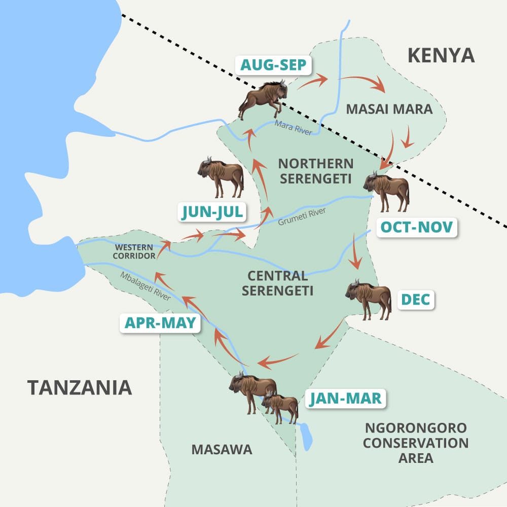 Migration Safaris | East Africa Wildlife Safaris | Detour Africa